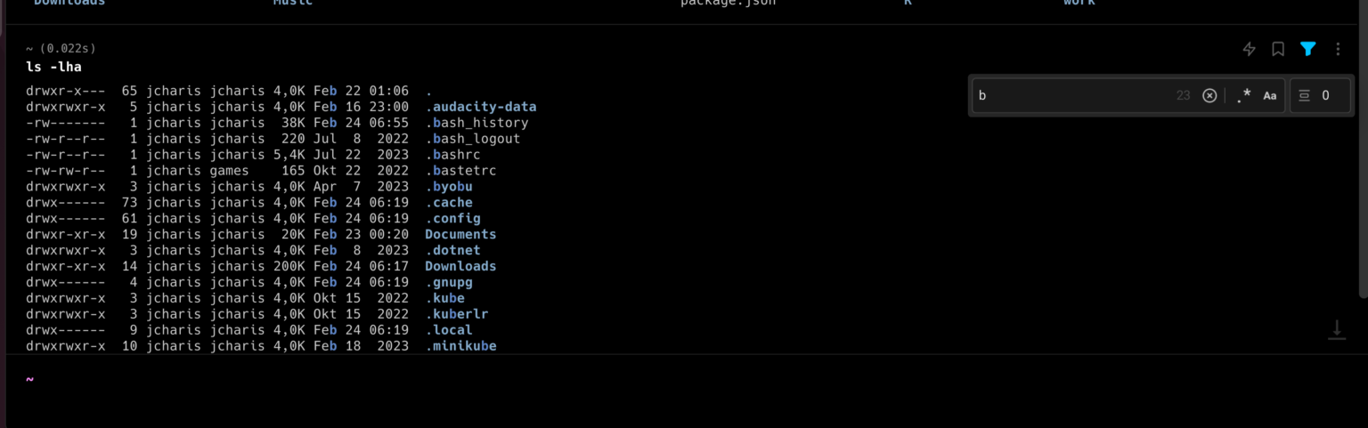 How to Use Warp Terminal on Linux – JCharisTech